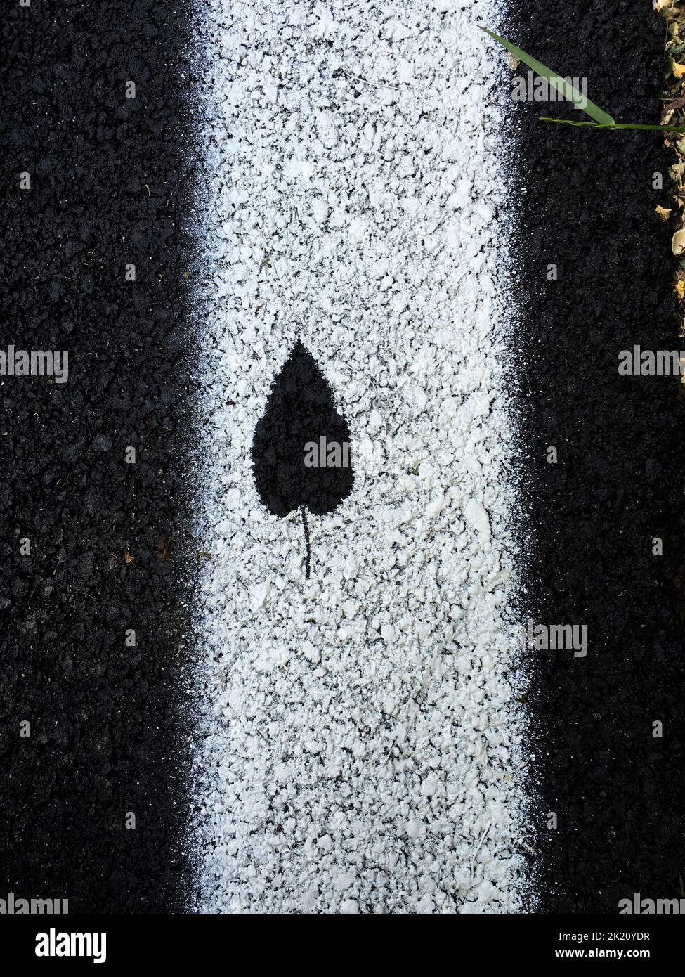 Ruck silhouette hi-res stock photography and images - Alamy