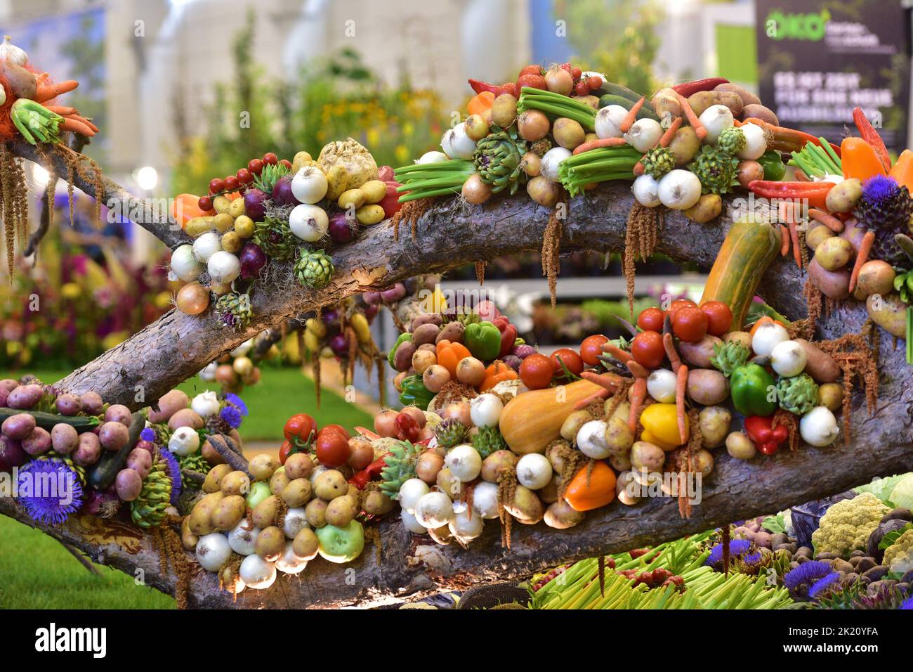 Decoration with different types of vegetables at a garden fair in ...