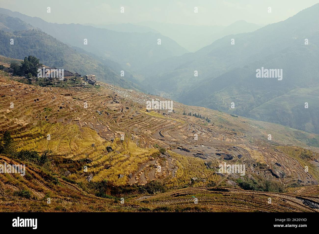 Rice plantation terrace on mountain in China. Beautiful agriculture ...