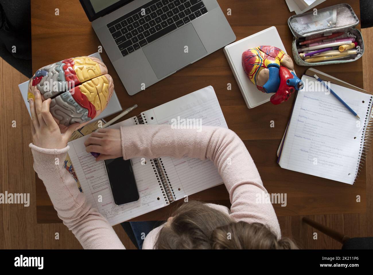 Isolation dining table above view hi-res stock photography and images ...