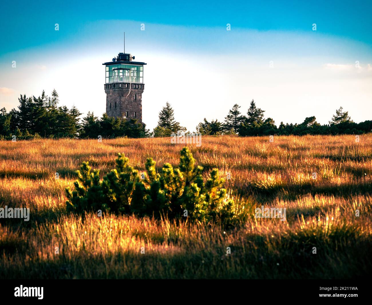 A beautiful view of an Observation deck with trees in a field during ...