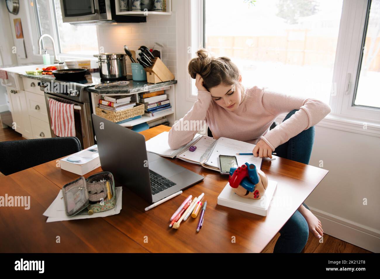 Teenage girl doing anatomy homework at dining table Stock Photo - Alamy