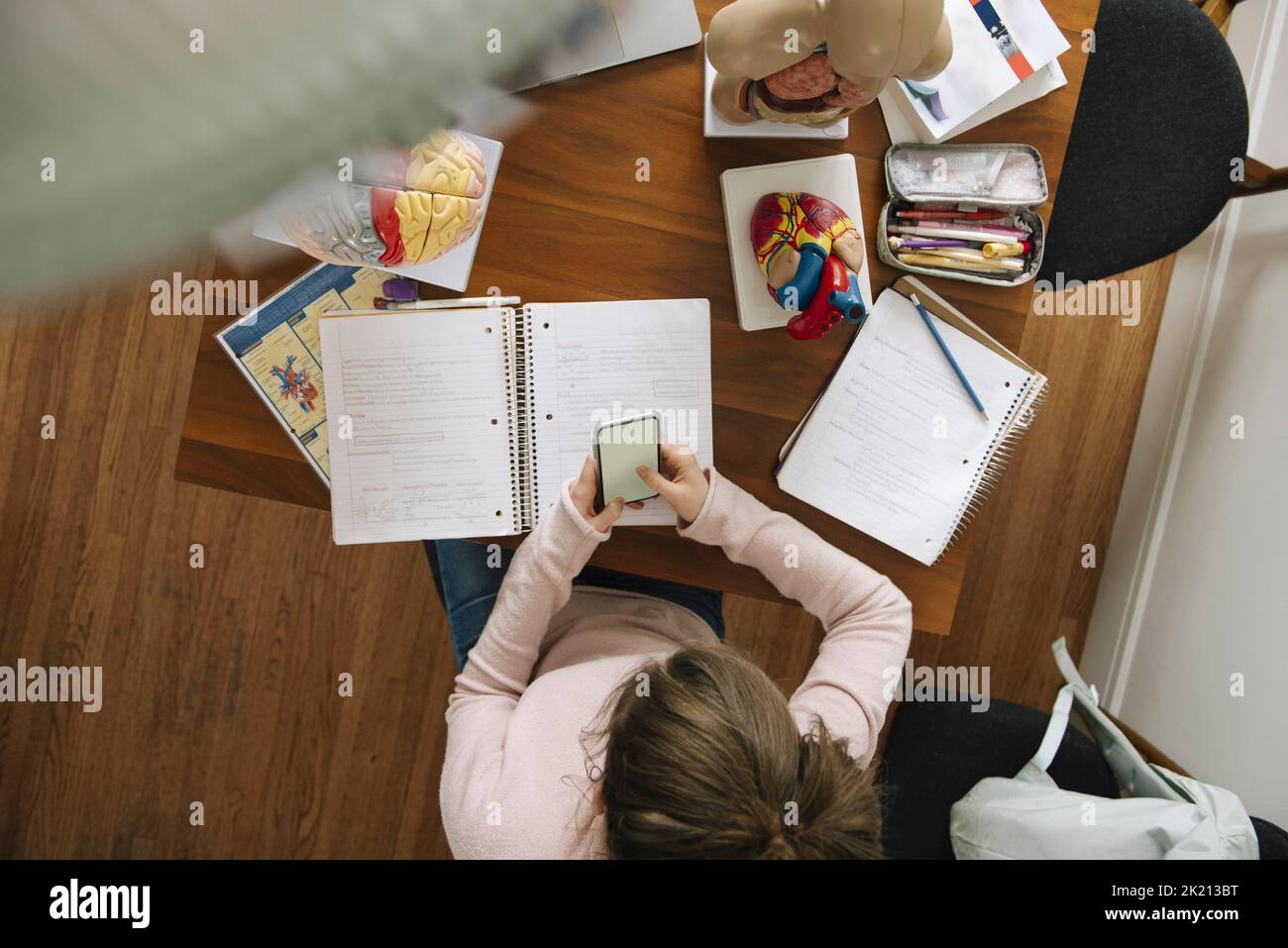 Smart girl homework hi-res stock photography and images - Alamy