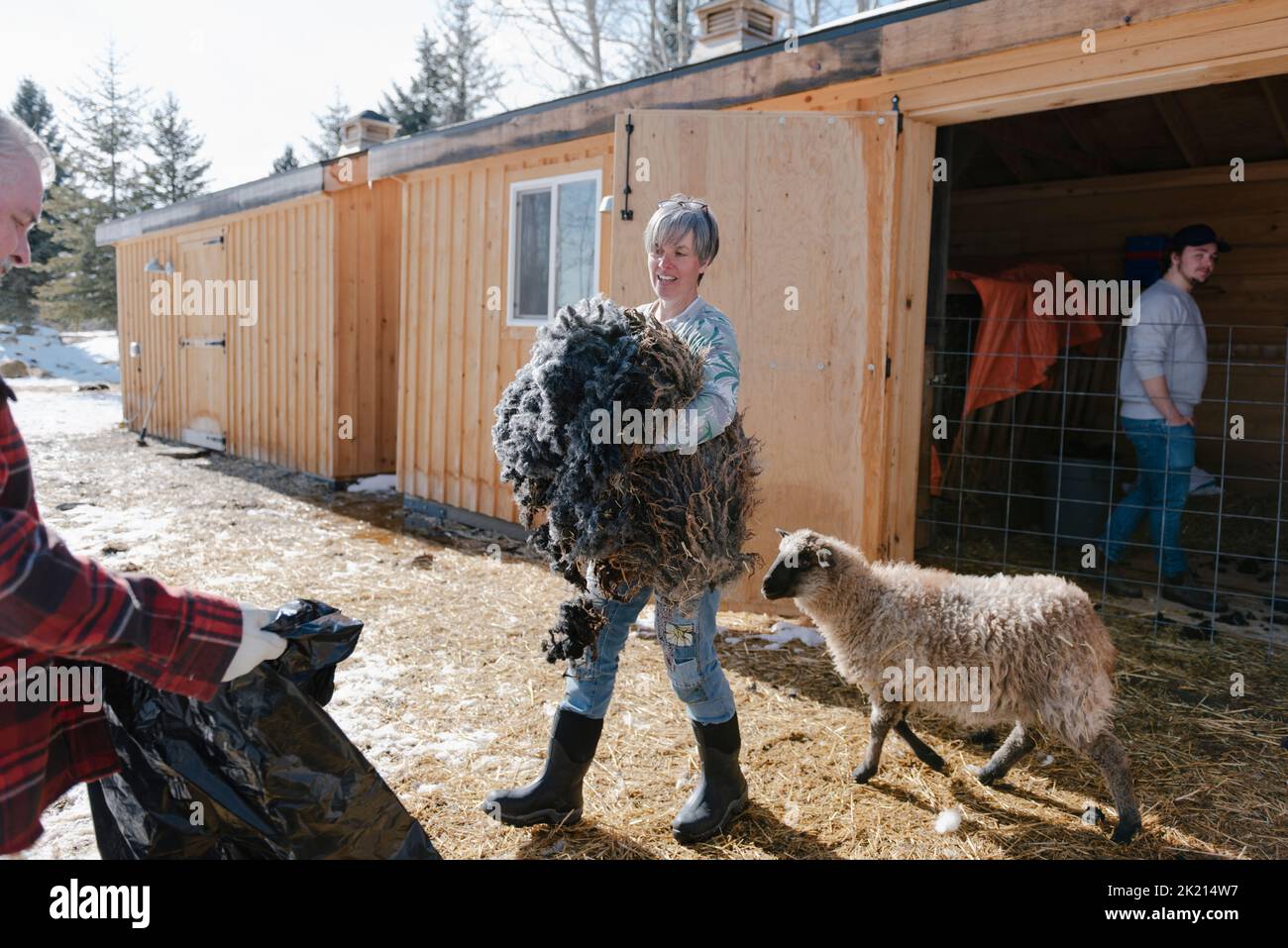 Wool bundle hi-res stock photography and images - Alamy