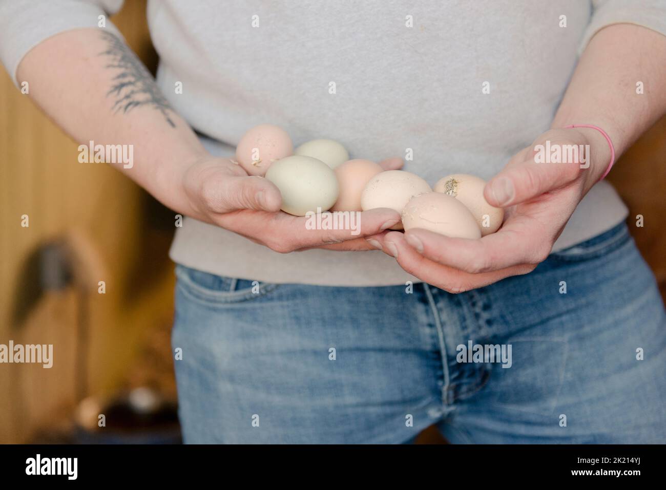 Young fresh chicken egg hi-res stock photography and images - Alamy