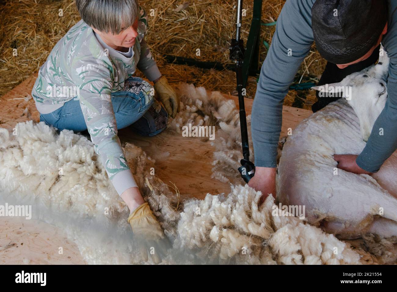 Two women shearing hi-res stock photography and images - Alamy