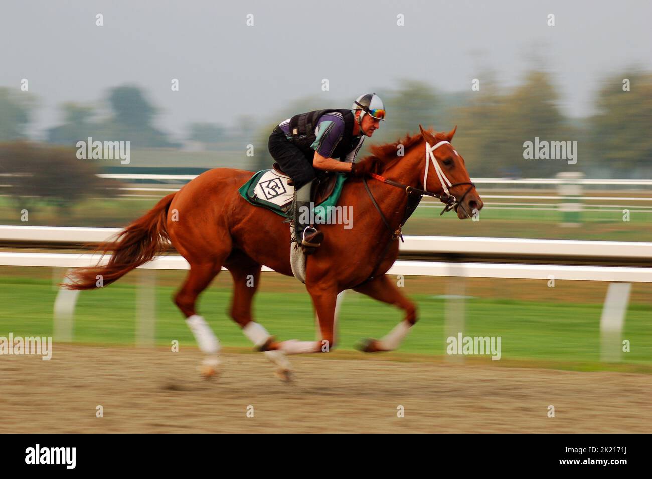 Exercise rider takes horse hi-res stock photography and images - Alamy