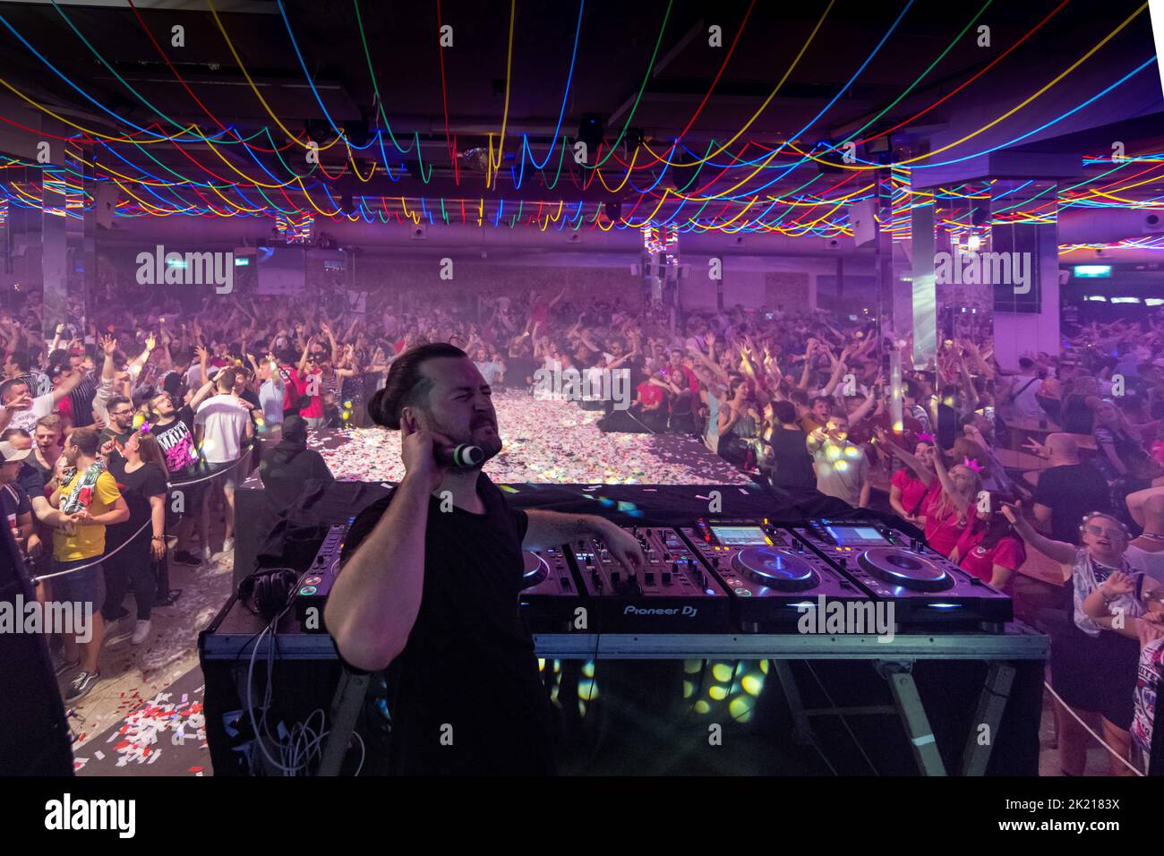 Lizot hi-res stock photography and images - Alamy