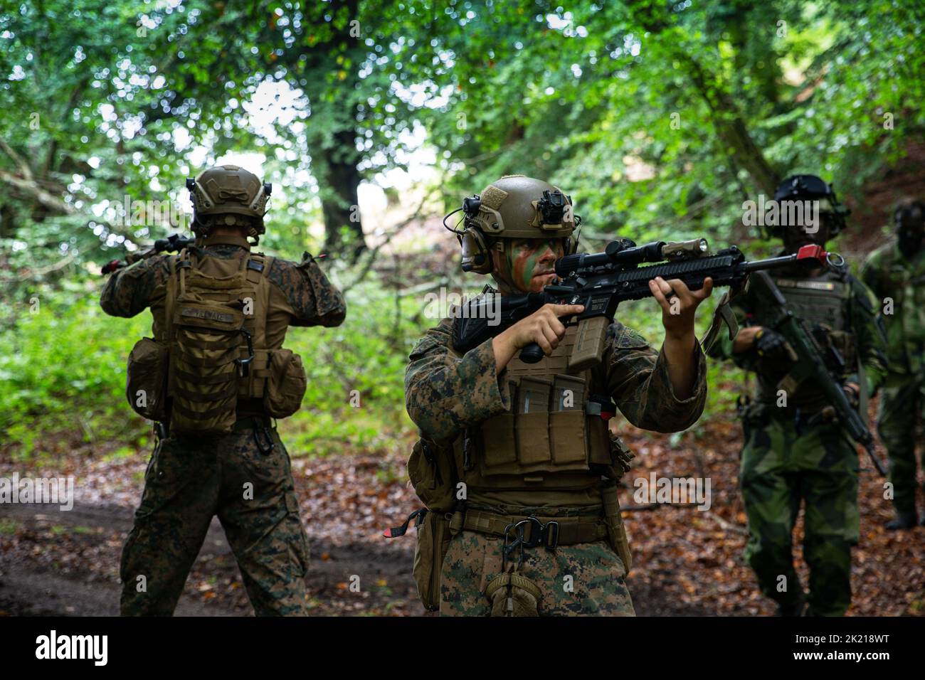 Amphibious raid force hi-res stock photography and images - Alamy