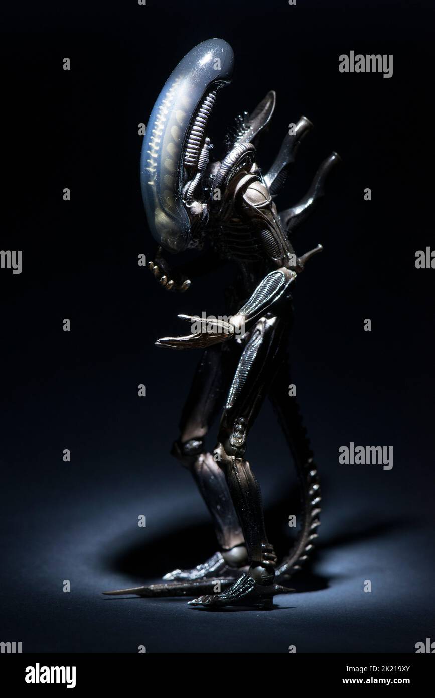 The xenomorph alien hi-res stock photography and images - Alamy