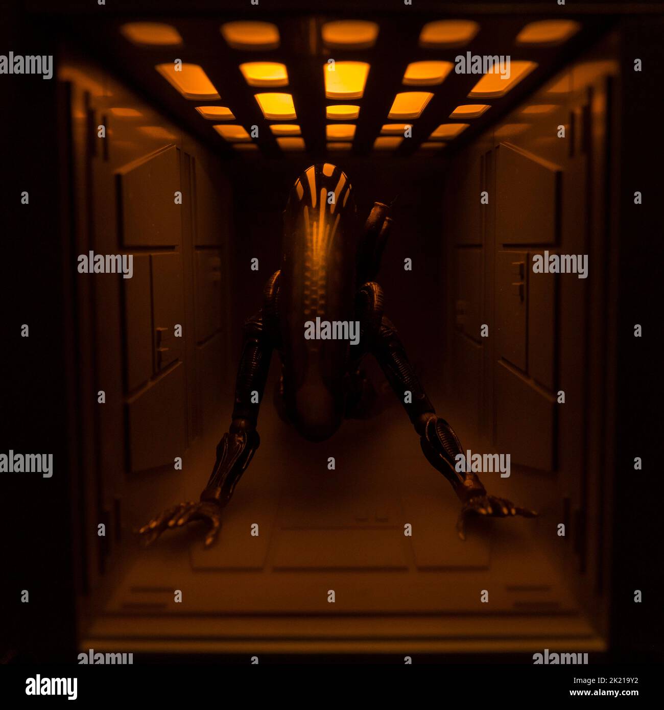 The xenomorph alien hi-res stock photography and images - Alamy