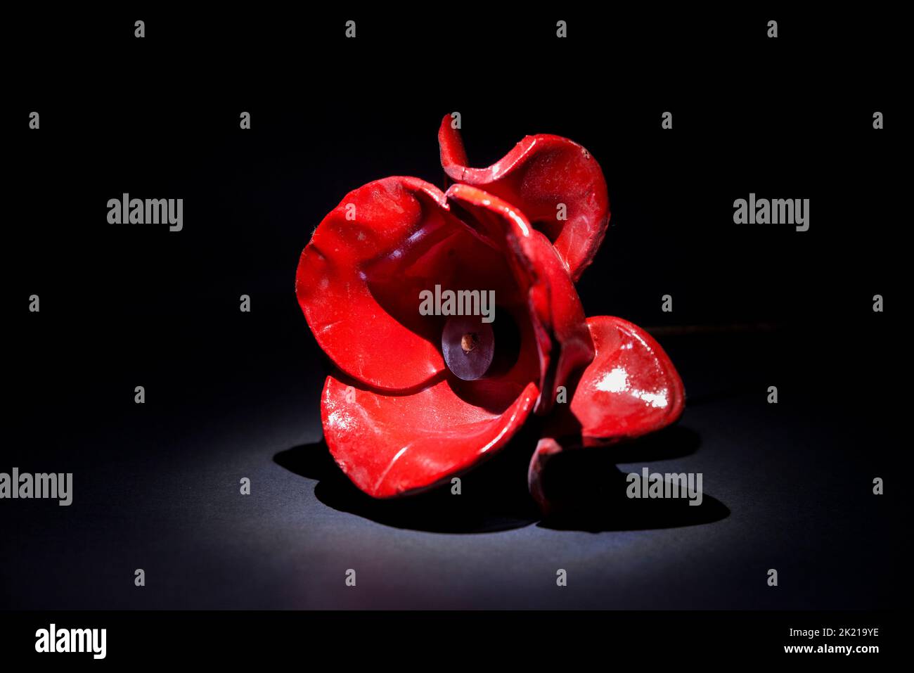 Ceramic poppy from "Blood Swept Lands and Seas of Red" art installation ...