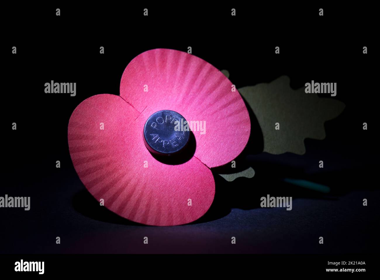 Remembrance paper poppy Stock Photo - Alamy