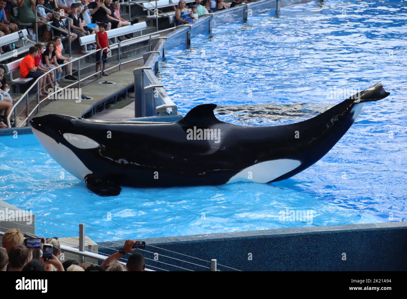 Seaworld orlando hi-res stock photography and images - Alamy