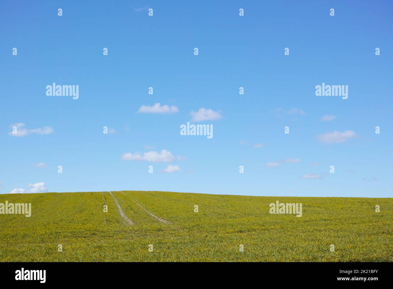 Jutland nature hi-res stock photography and images - Alamy