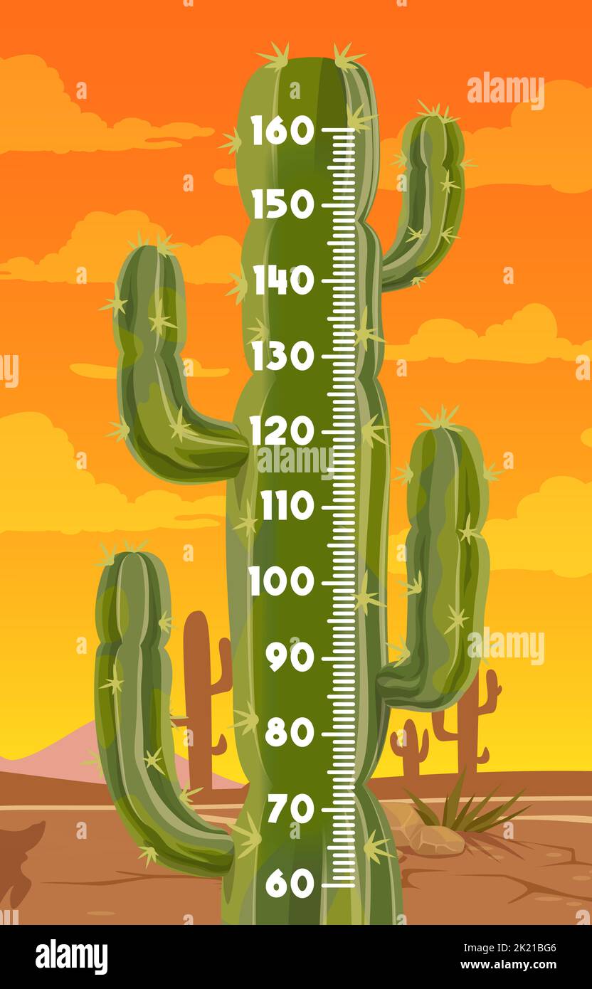 Cactus in mexican desert kids height chart. Measure meter ruler vector ...