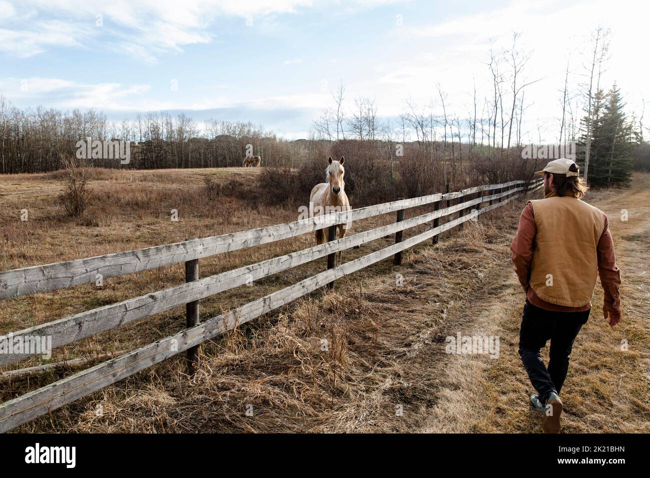 Man walking horse hi-res stock photography and images - Alamy