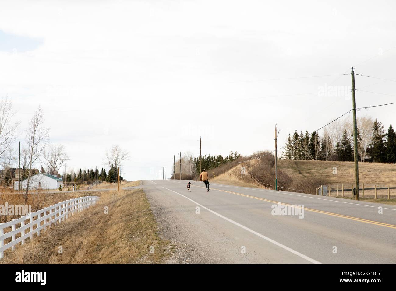 Dog pulling hi-res stock photography and images - Alamy