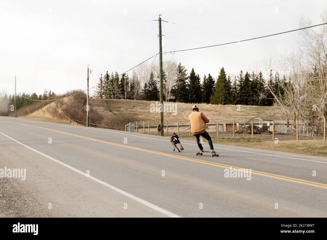 Dog pulling on his leash hi-res stock photography and images - Alamy