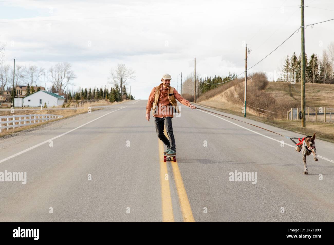 Dog pulling skateboard hi-res stock photography and images - Alamy