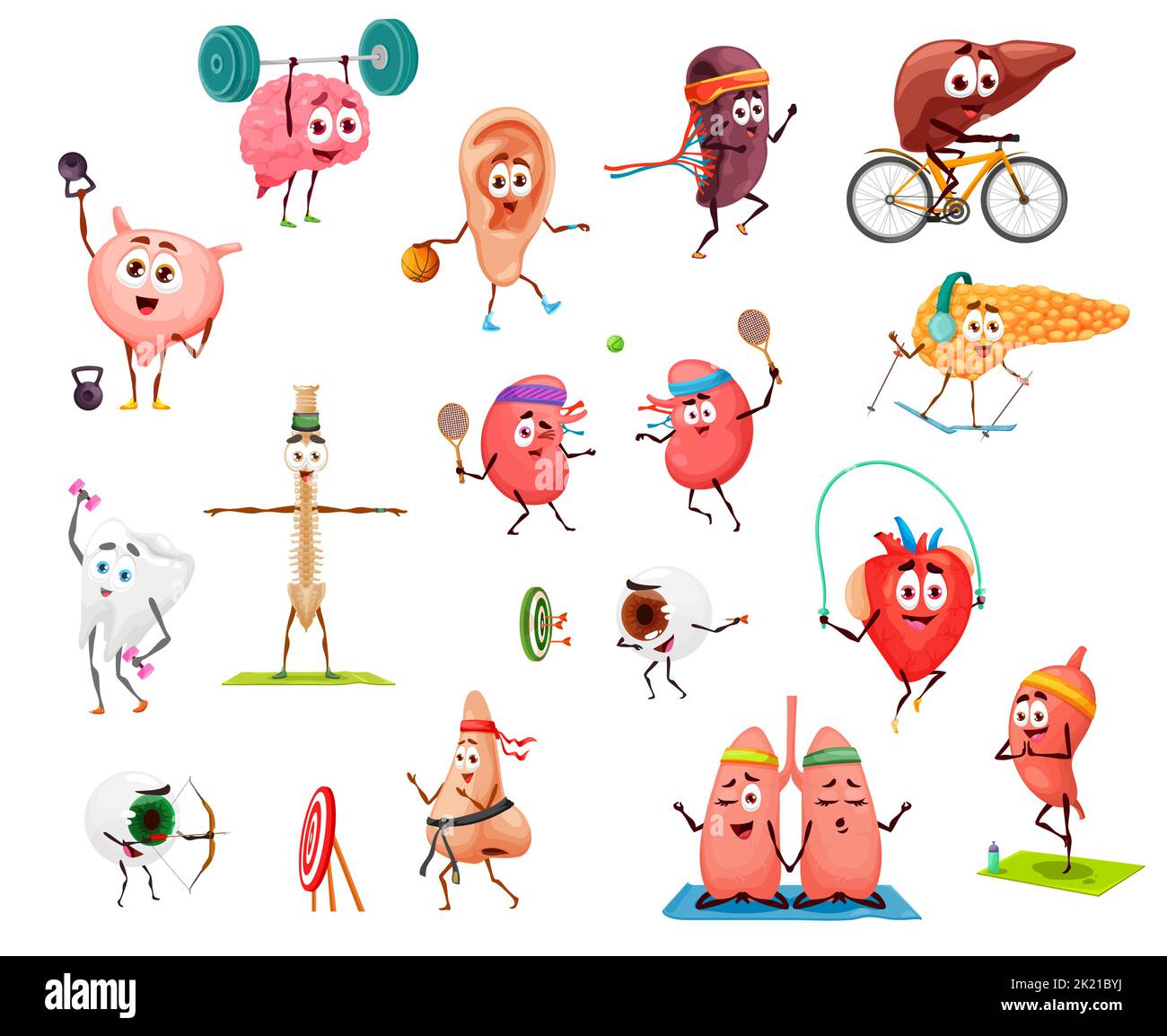 Cartoon funny human organs on yoga sport and fitness. Vector characters ...