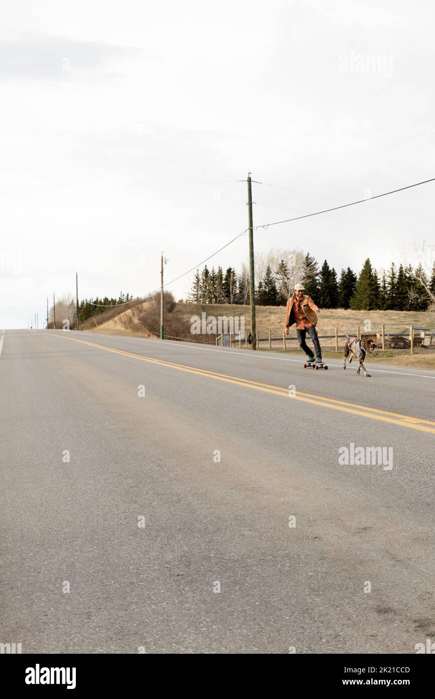 Dog pulling on his leash hi-res stock photography and images - Alamy