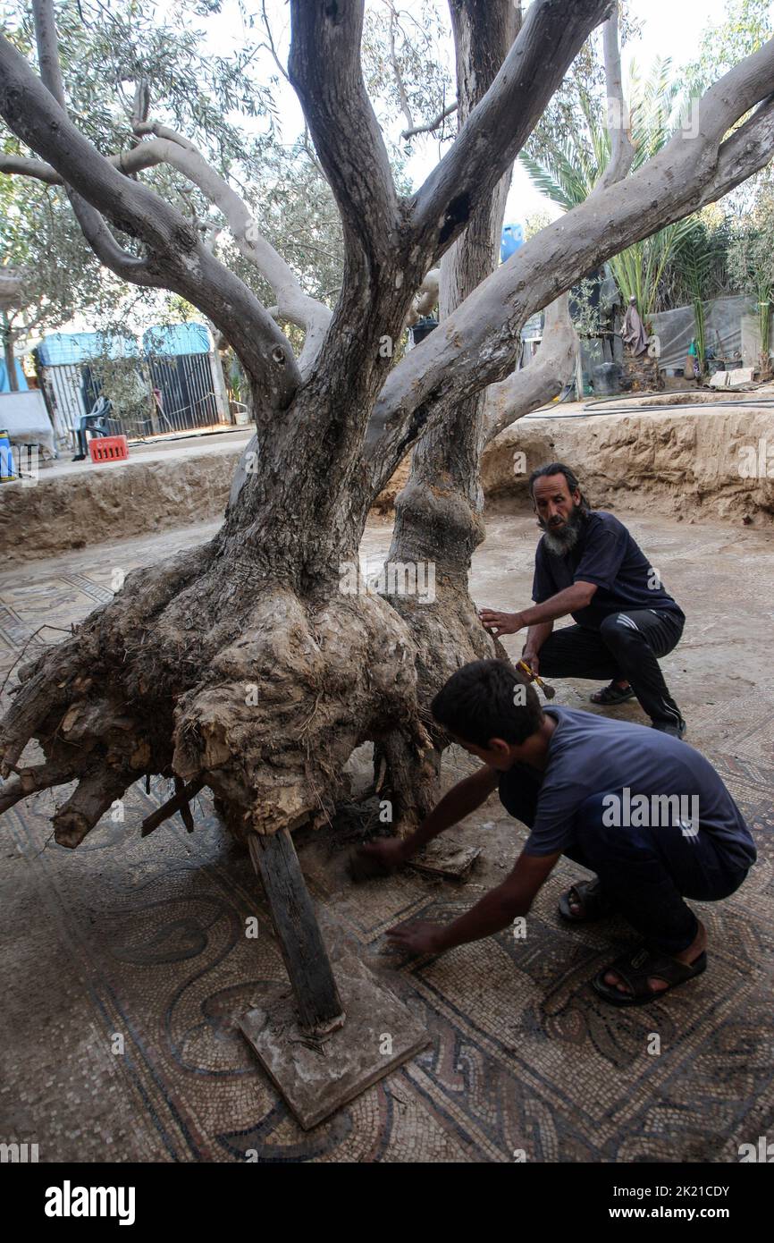 Al Bureij Camp, Gaza. 21st Sep, 2022. Palestinian farmer Salman al ...