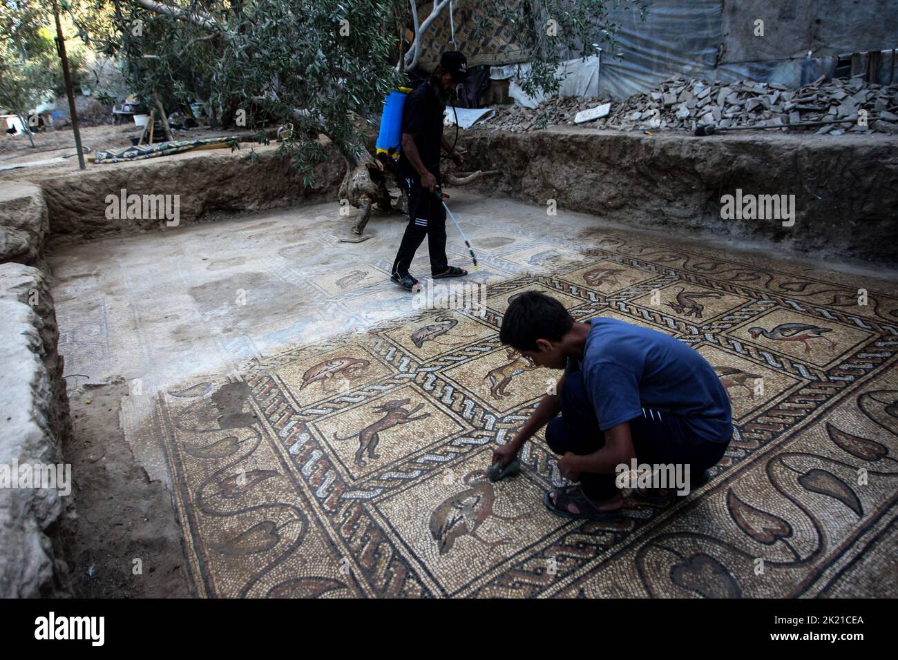Al Bureij Camp, Gaza. 21st Sep, 2022. Palestinian farmer Salman al ...
