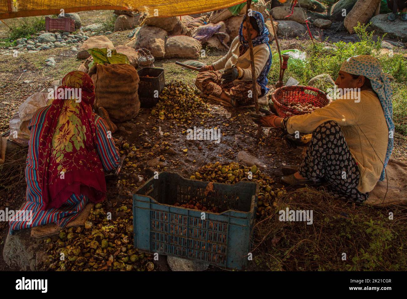 Kashmiri walnuts hi-res stock photography and images - Alamy