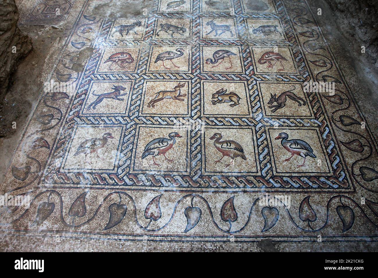 Al bureij camp hi-res stock photography and images - Alamy