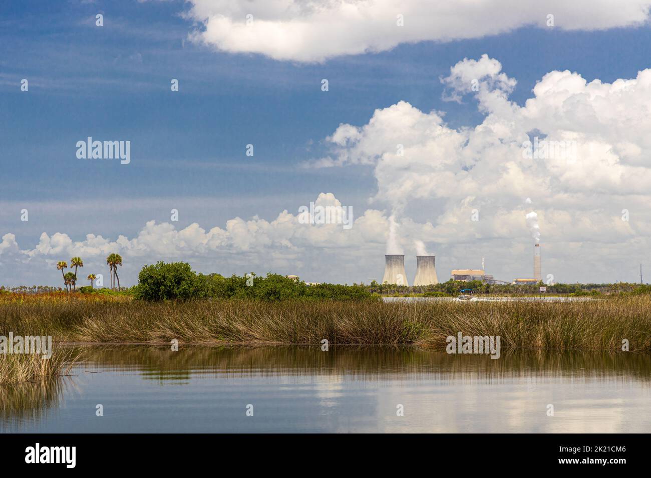 Cooling towers from Crystal River nuclear power plants spewing steam on ...