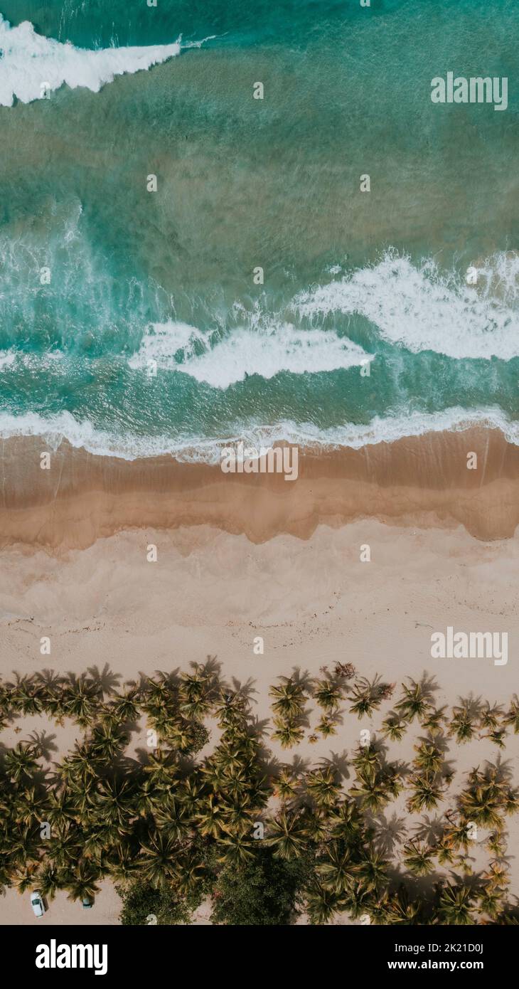 An aerial shot of an empty beach with foamy waves - great for ...