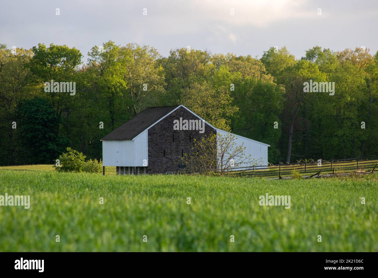 Open field surrounded by trees hi-res stock photography and images - Alamy