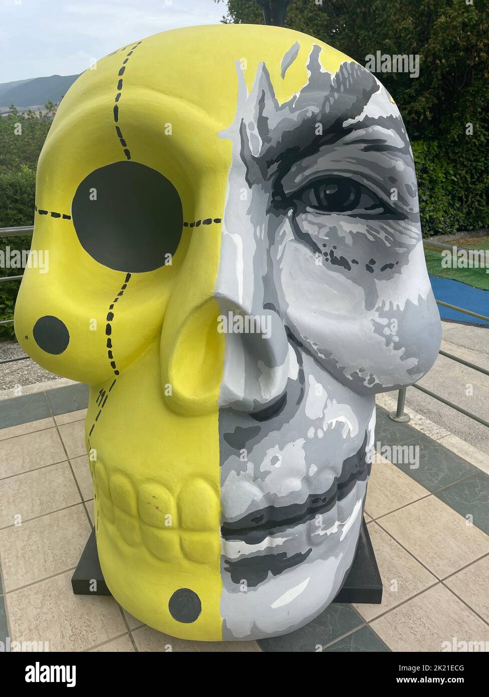 Half skull hi-res stock photography and images - Alamy
