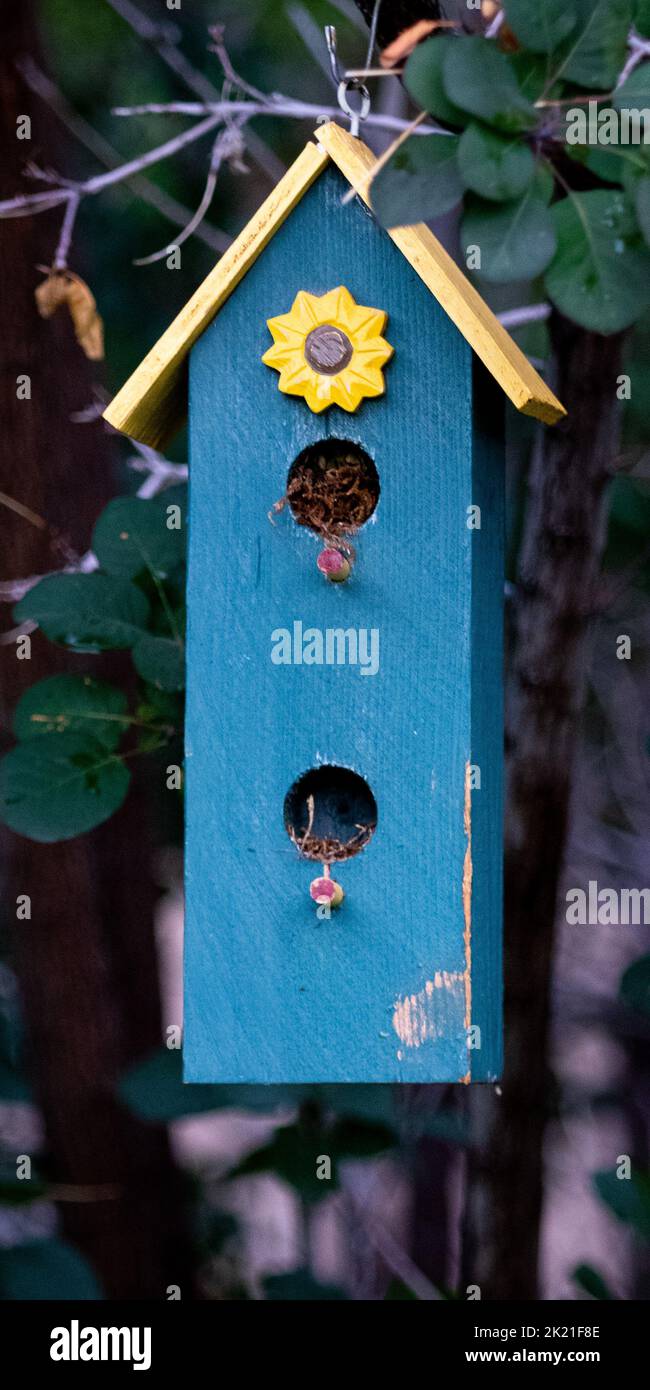 Vertical animals helping animals hi-res stock photography and images ...