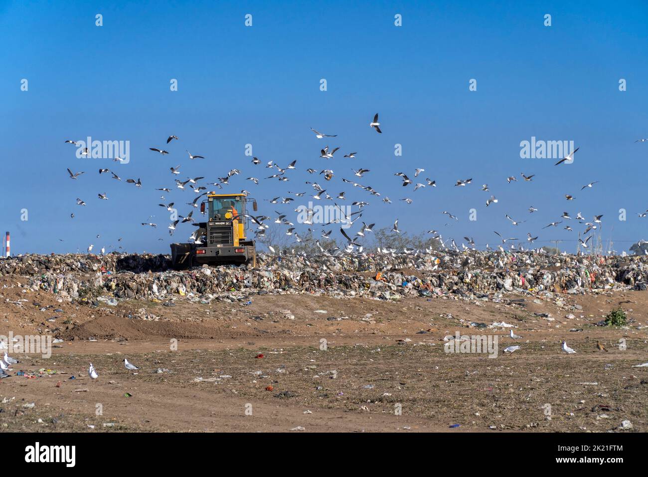 A bulldozer at work on a waste treatment plant in Firmat, Santa Fe ...
