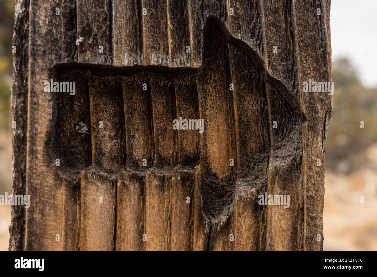 Carved Wooden Arrow Pointing Right along hiking trail Stock Photo - Alamy