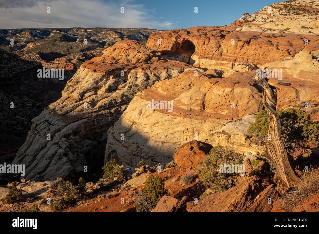 Cassidy Arch High Over The Grand Wash Below in Capitol Reef National ...