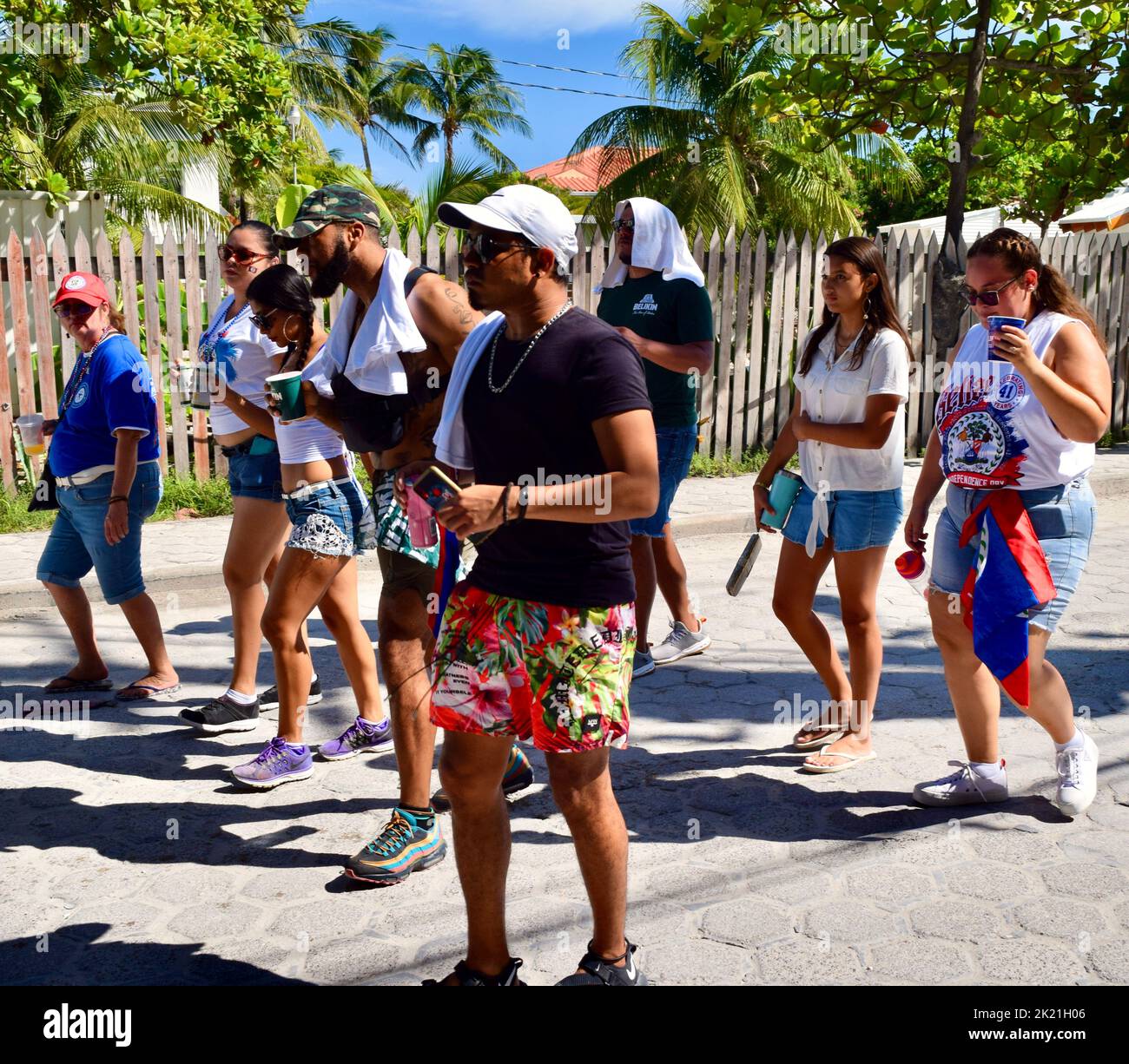 Carnival goers dancing and enjoying themselves in the procession of the ...