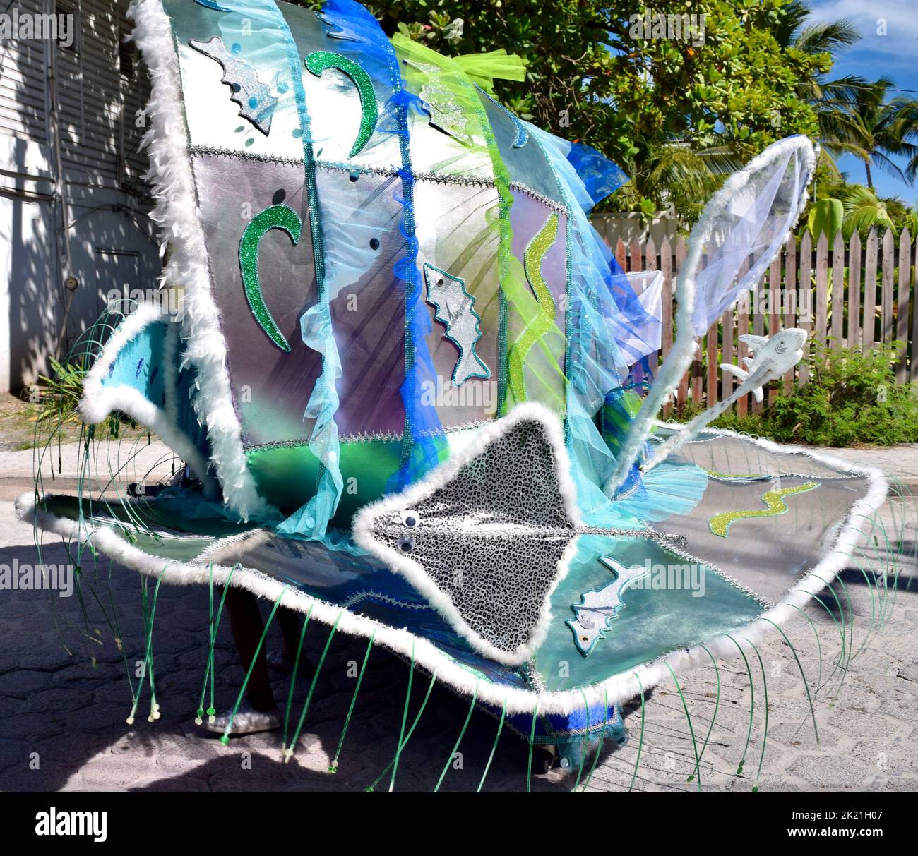 The back of the costume of the blue, marine-themed, male Belizean ...