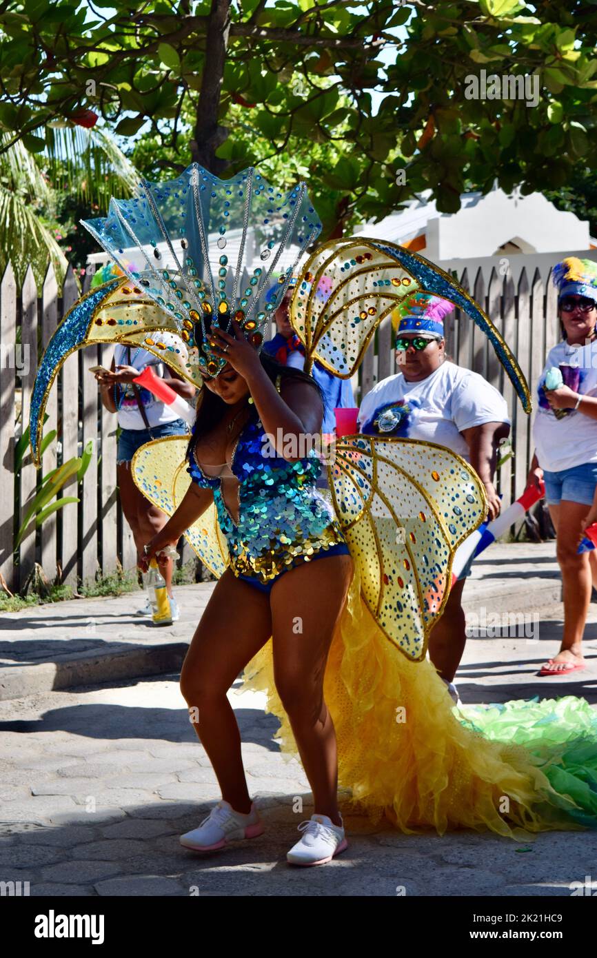 A young Belizean woman in a beautiful, shiny, and colorful butterfly ...