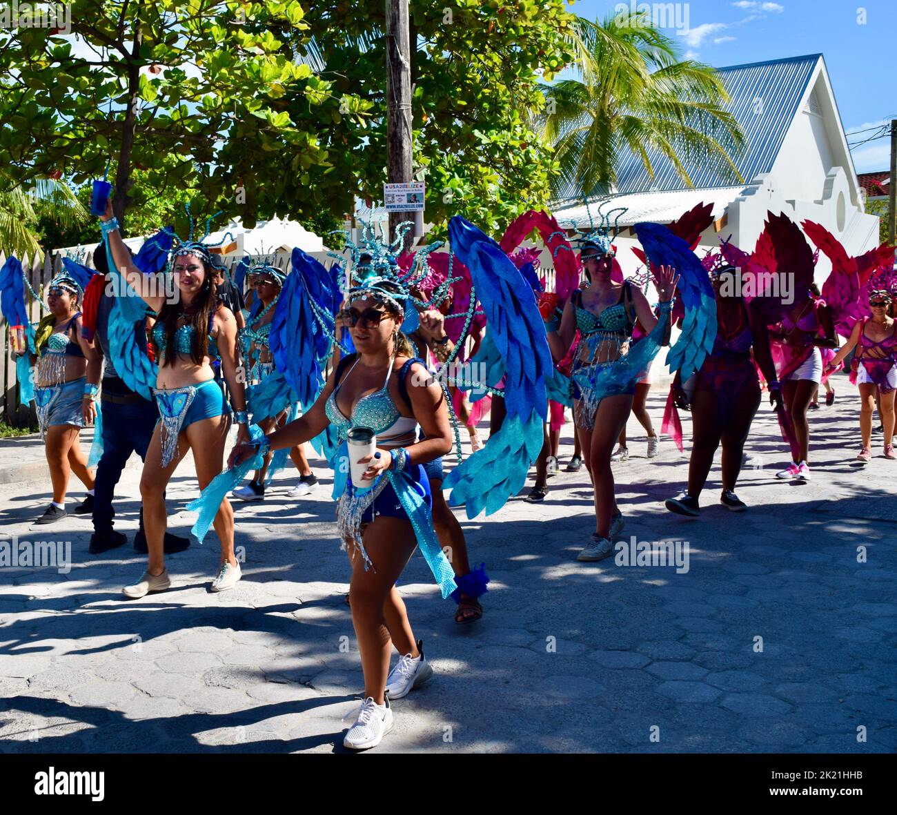 Blue and pink winged costumes worn by Belizeans during the San Pedro ...