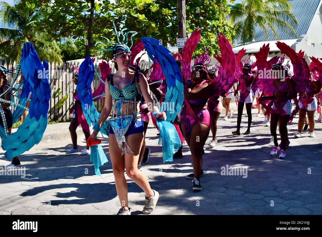 Blue and pink winged costumes worn by Belizeans during the San Pedro, Belize, Carnival 2022 ...