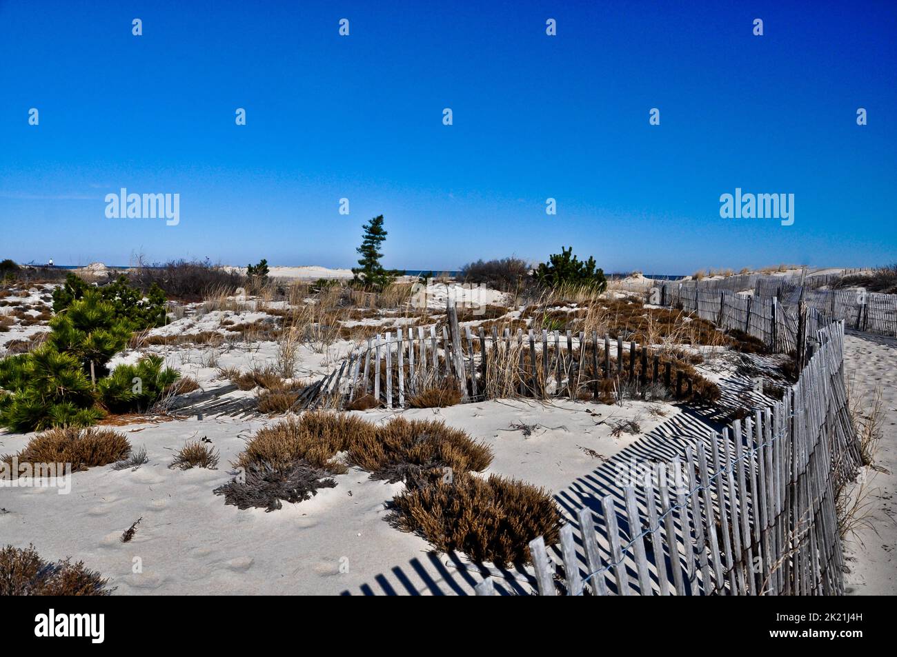 Cape henlopen state park public beach hi-res stock photography and ...