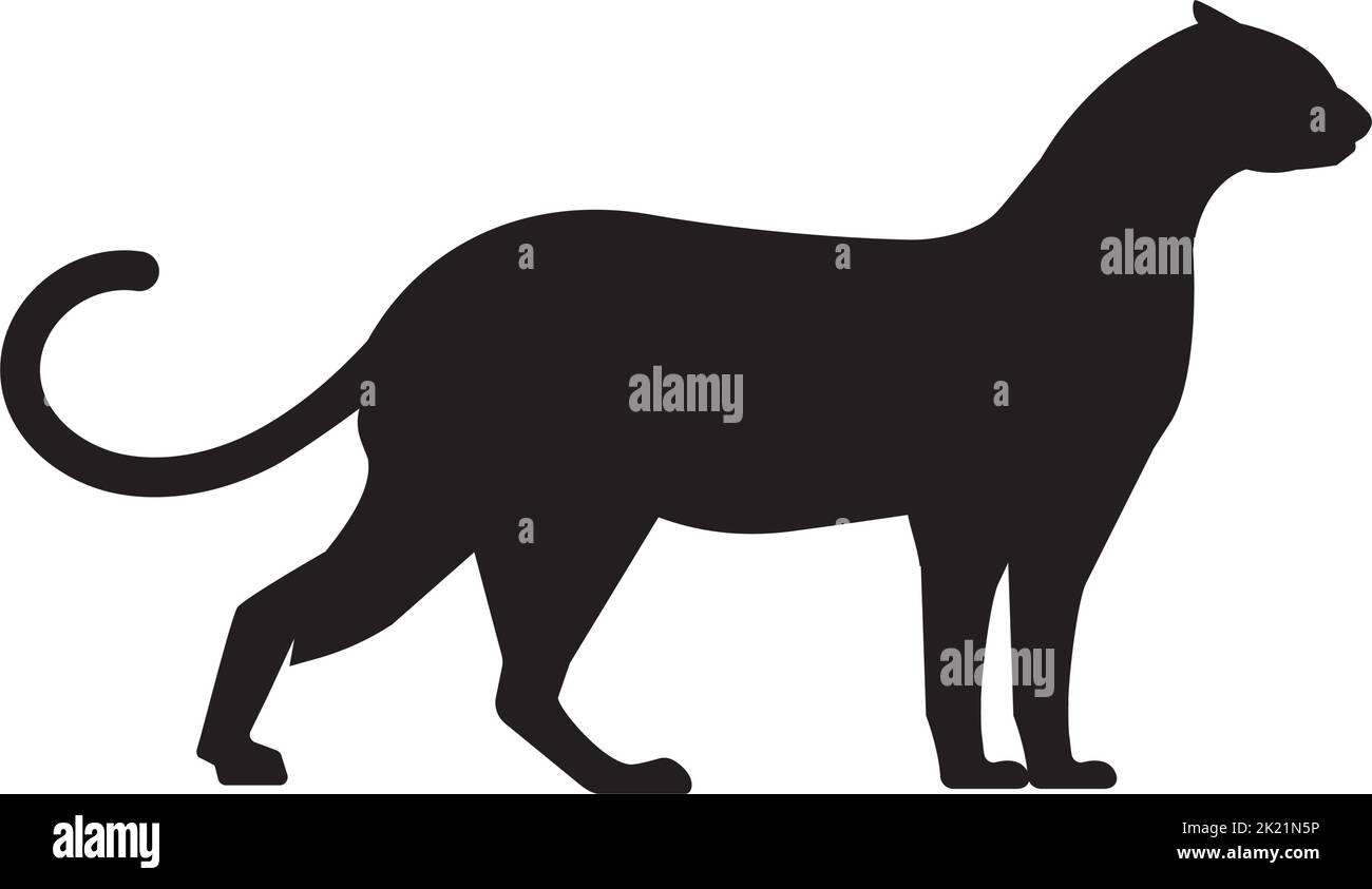 Puma Logo design vector illustration design template Stock Vector Image ...