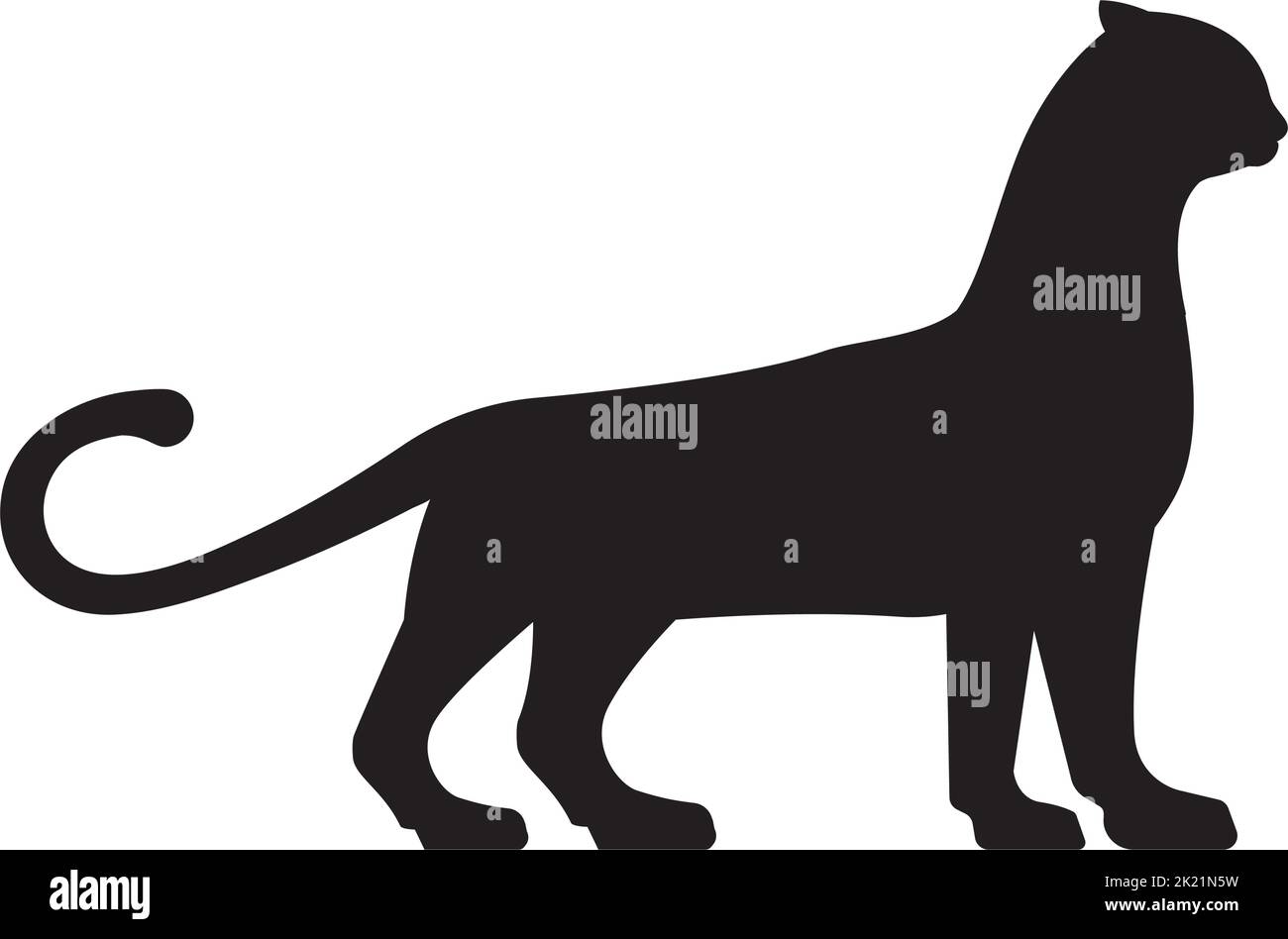 Puma Logo design vector illustration design template Stock Vector Image ...