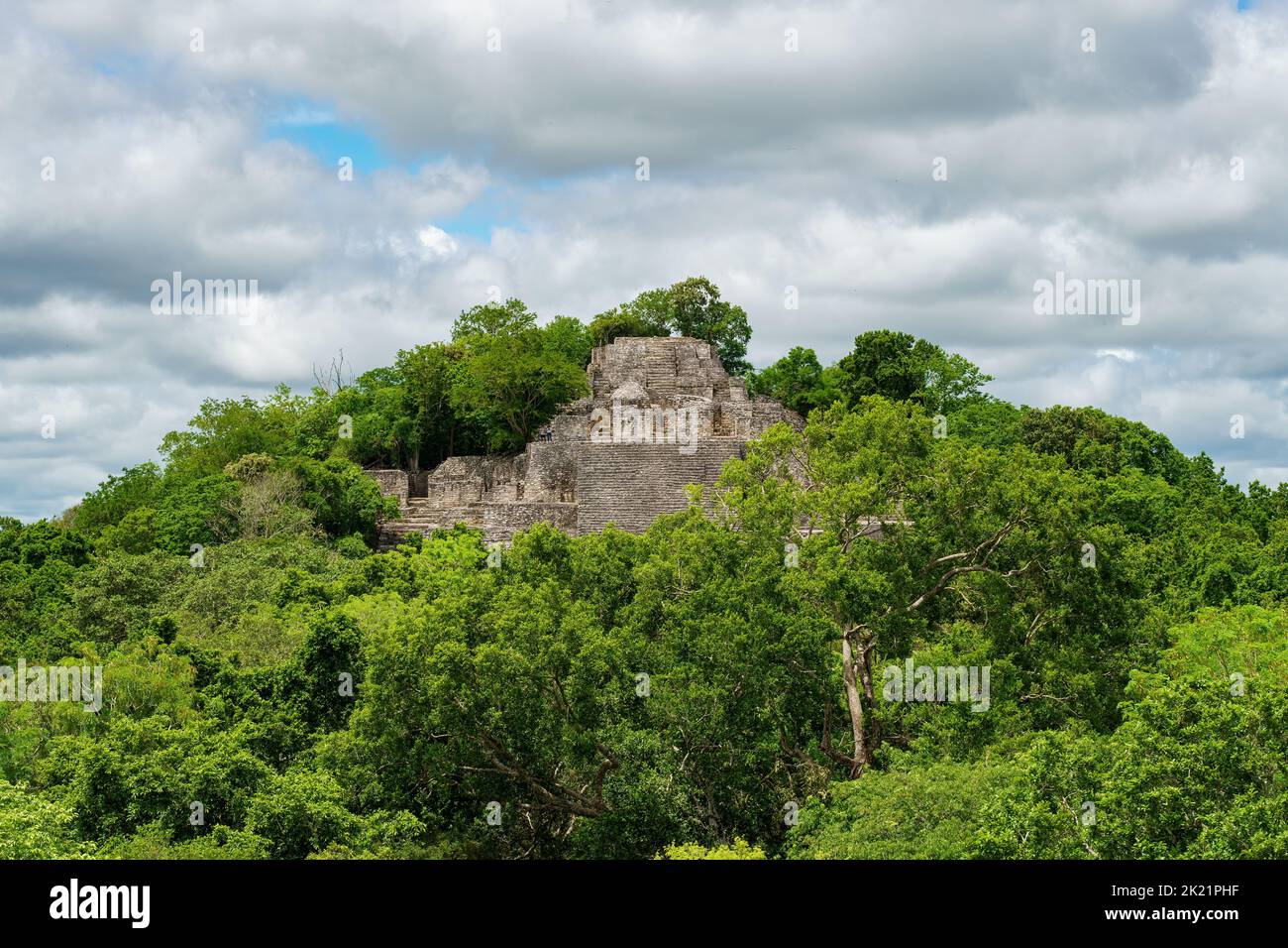 Calakmul ancient Mayan temple ruins rising above the trees. In the ...