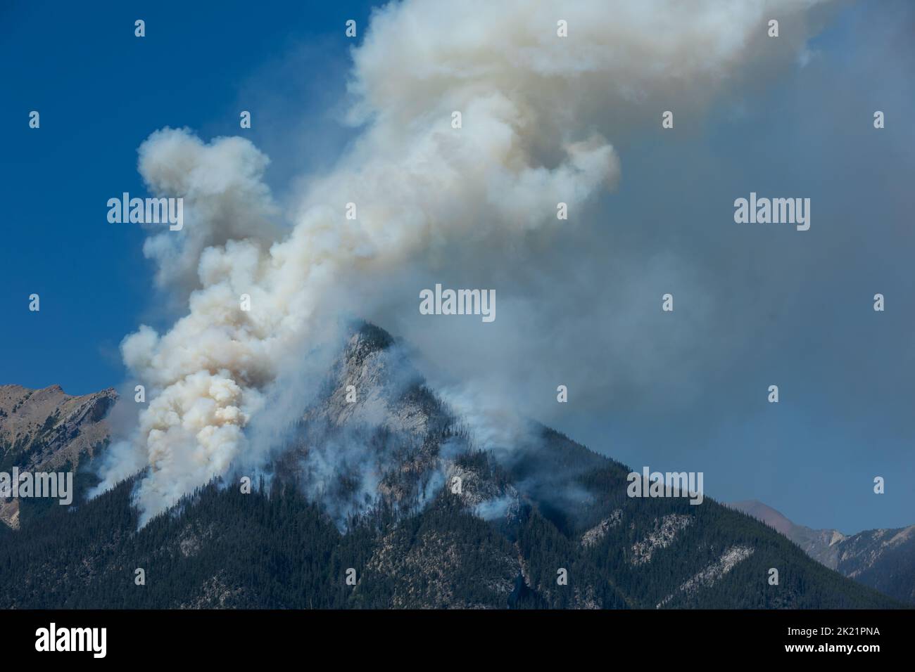 Forest wildfire and smoke on the side of a mountain Stock Photo - Alamy