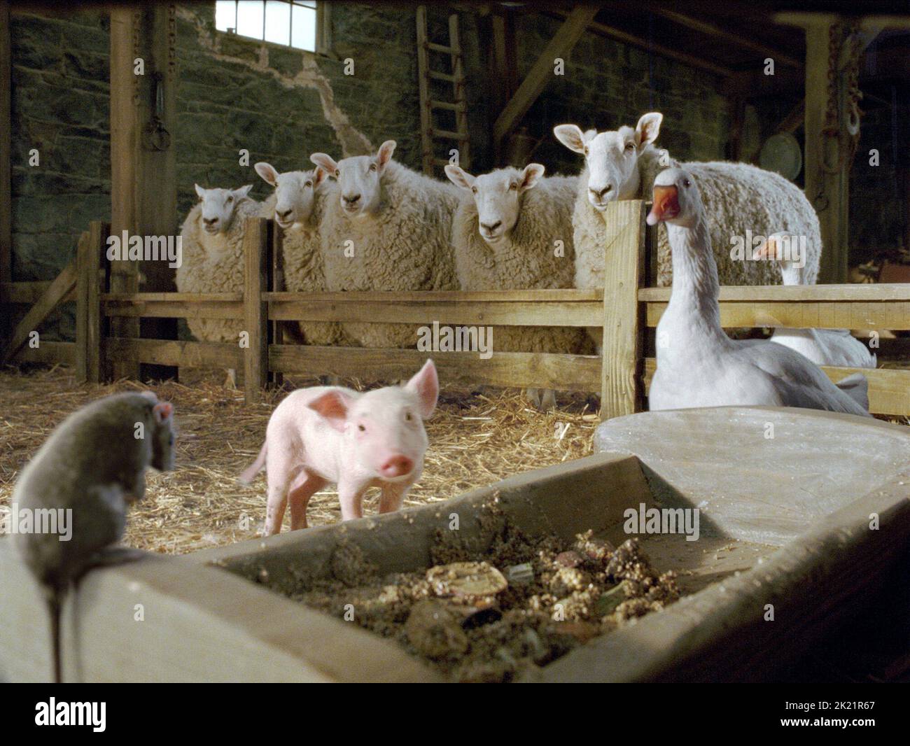 TEMPLETON, WILBUR, SAMUEL, GUSSY, GOLLY, CHARLOTTE'S WEB, 2006 Stock ...