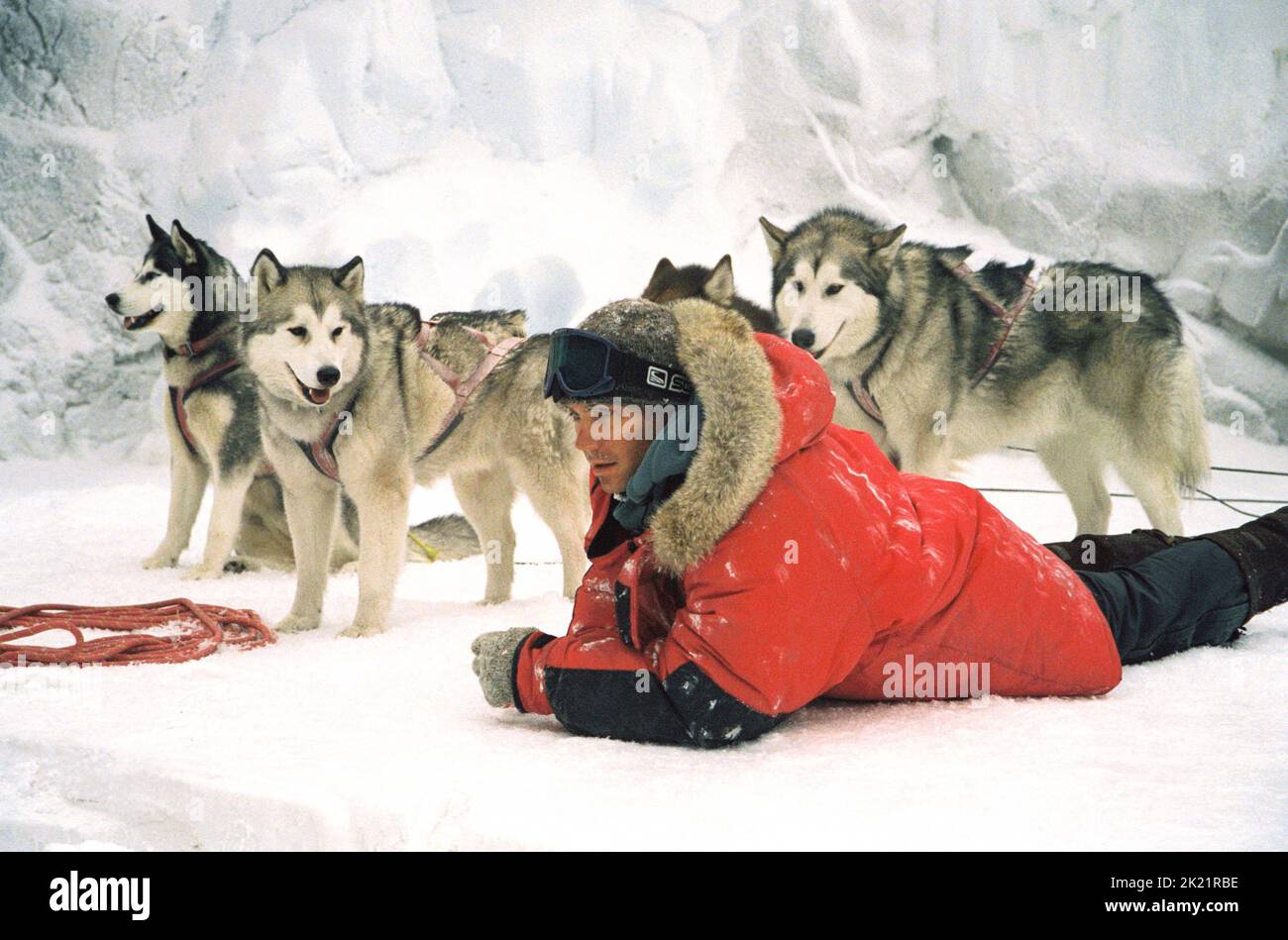 PAUL WALKER, DOGS, EIGHT BELOW, 2006 Stock Photo - Alamy
